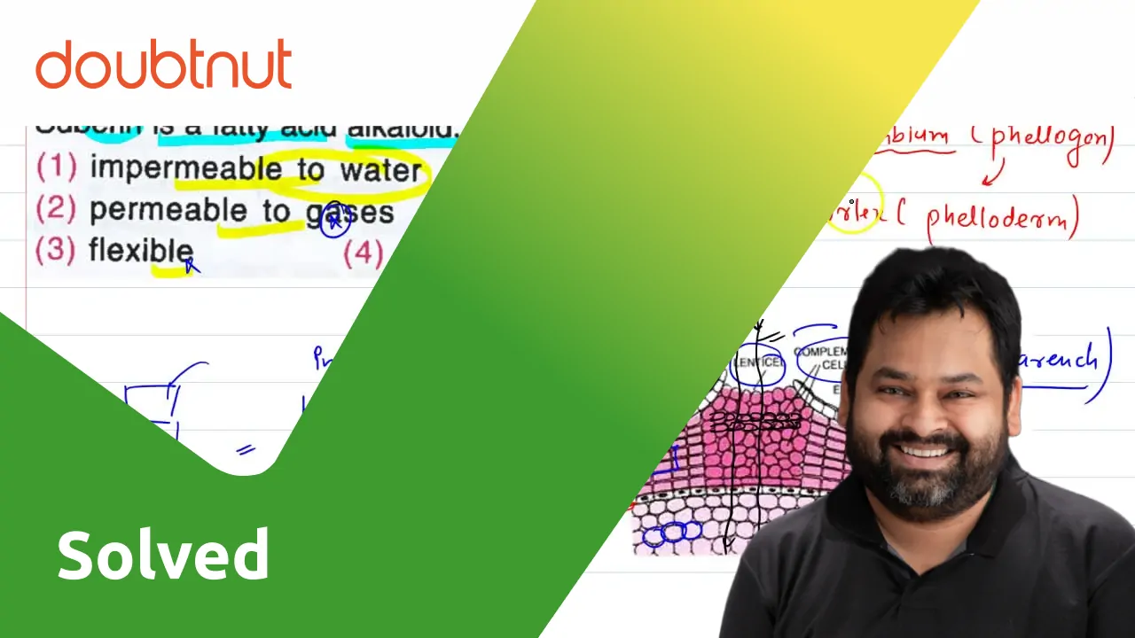 Suberin is a fatty acid alkaloid. It makes cork