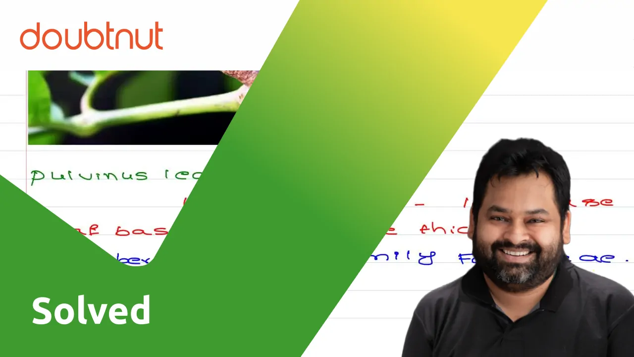 telugu-solution-what-is-meant-by-pulvinus-leaf-base-in-members-of-w