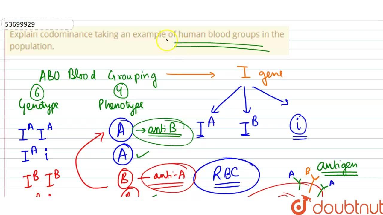 Codominance Examples In Humans