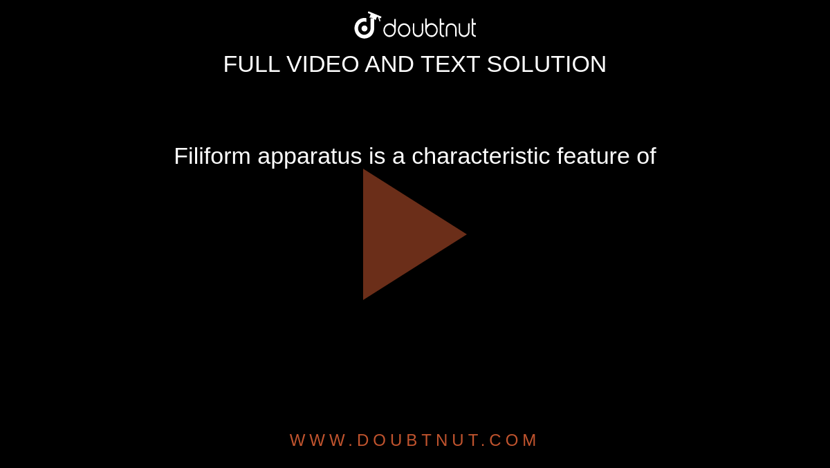 Filiform Apparatus Is A Characteristic Feature Of 