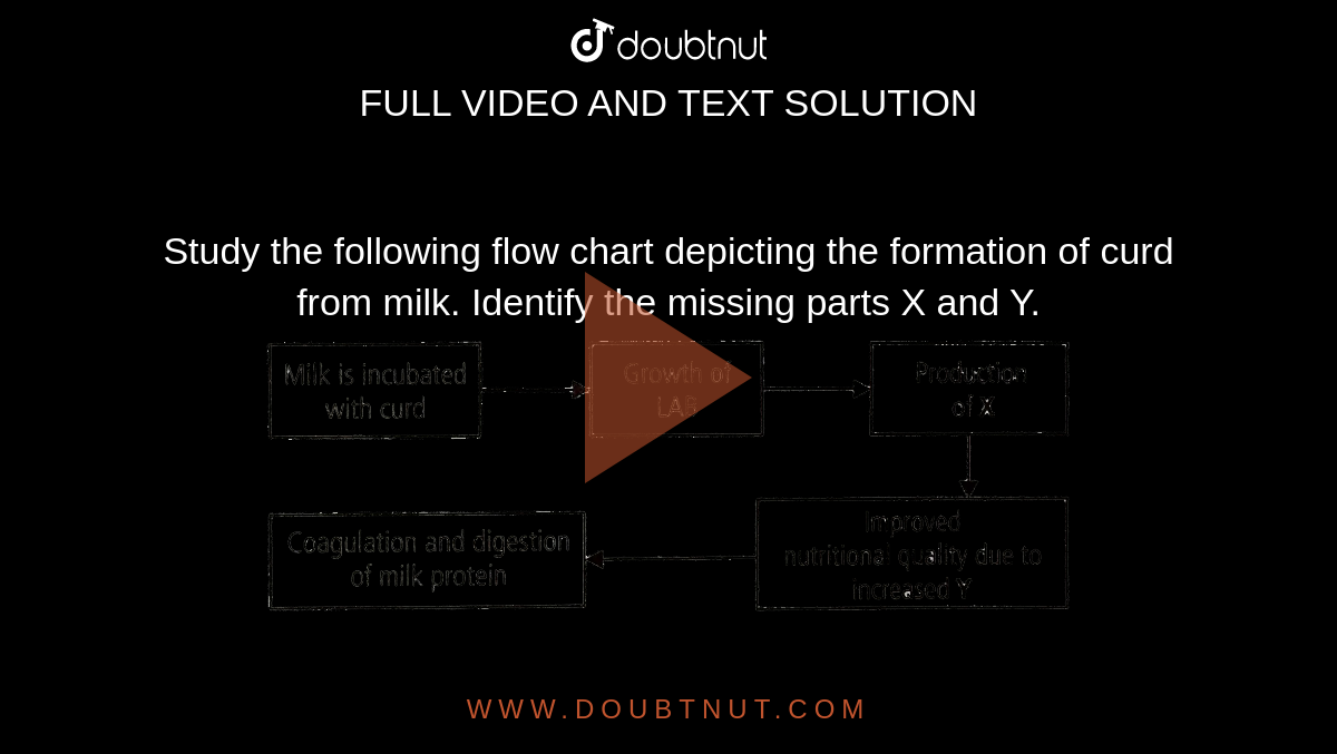 Study the following flow chart depicting the formation of curd from mi