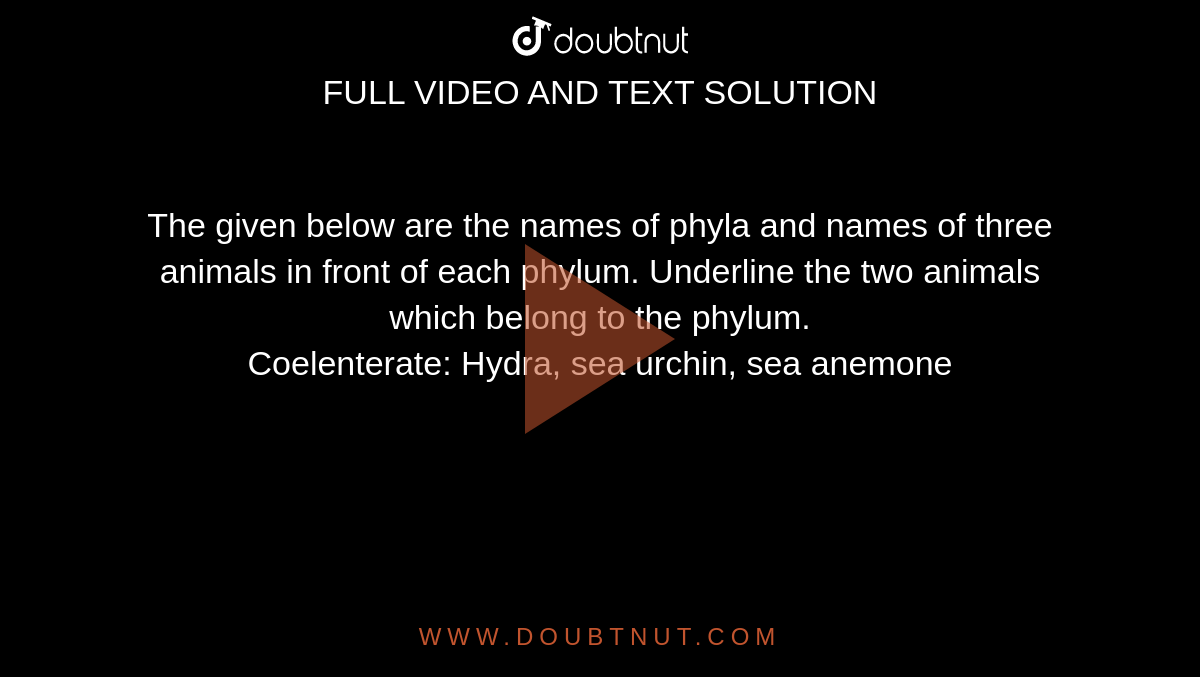 The given below are the names of phyla and names of three animals in f