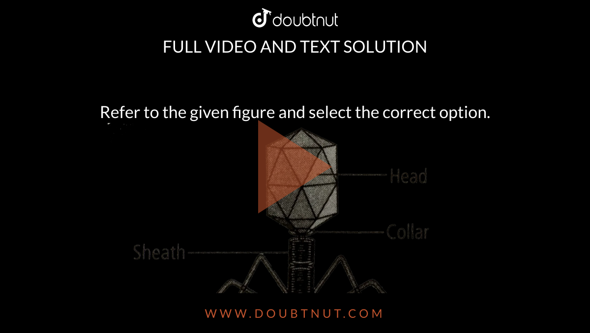Refer To The Given Figure And Select The Correct Option